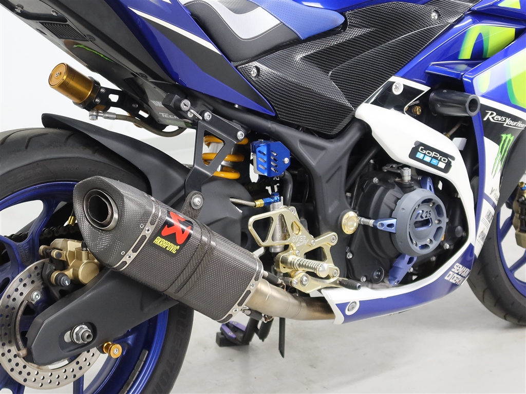 日本代購代標第一品牌【樂淘letao】－♪YZF-R25/RG10J アクラポビッチ レーシングライン フルエキゾーストマフラー (Y0716A14) 2015年式 検/AKRAPOVIC